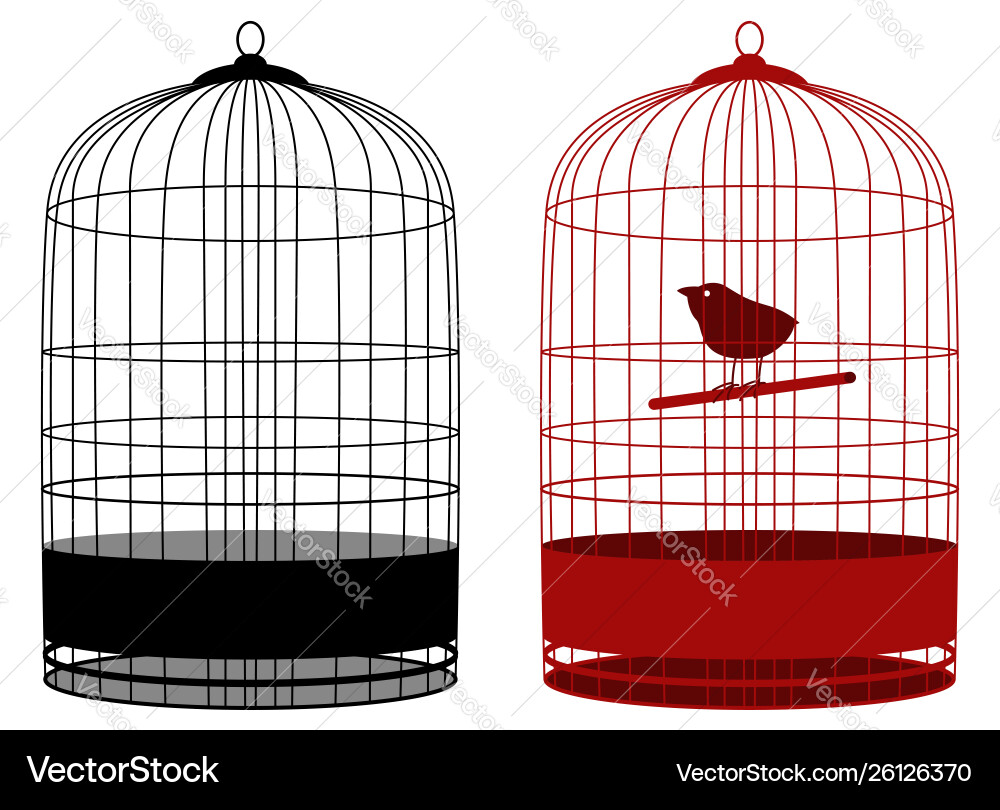 Cage Royalty Free Vector Image - VectorStock