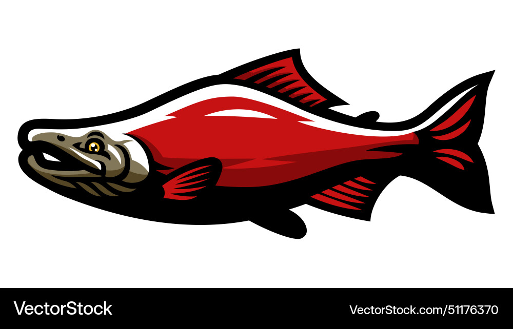 Sockeye salmon fish mascot Royalty Free Vector Image