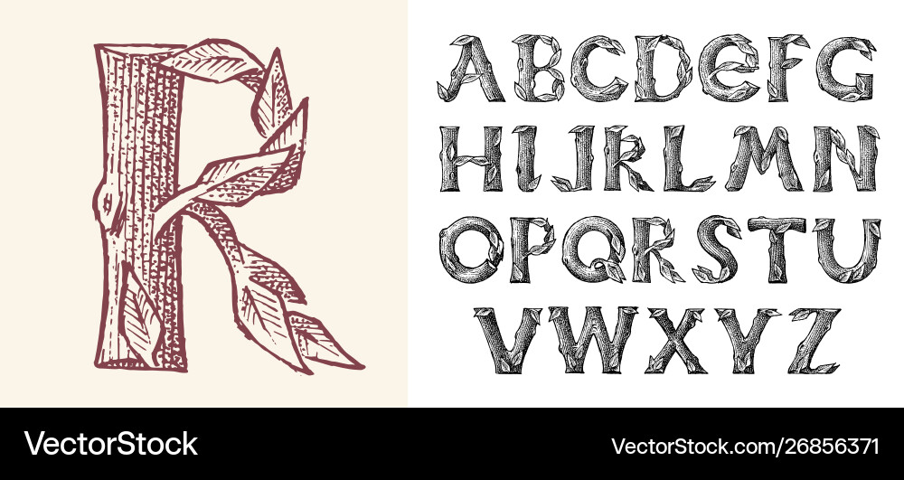 Antique wood font for forest posters decorative Vector Image