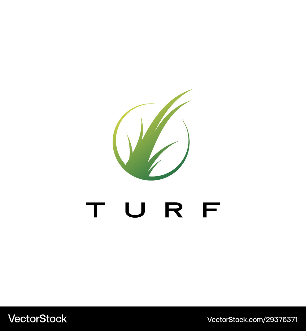 Texture Fiber Synthetic Vector Images (over 140)