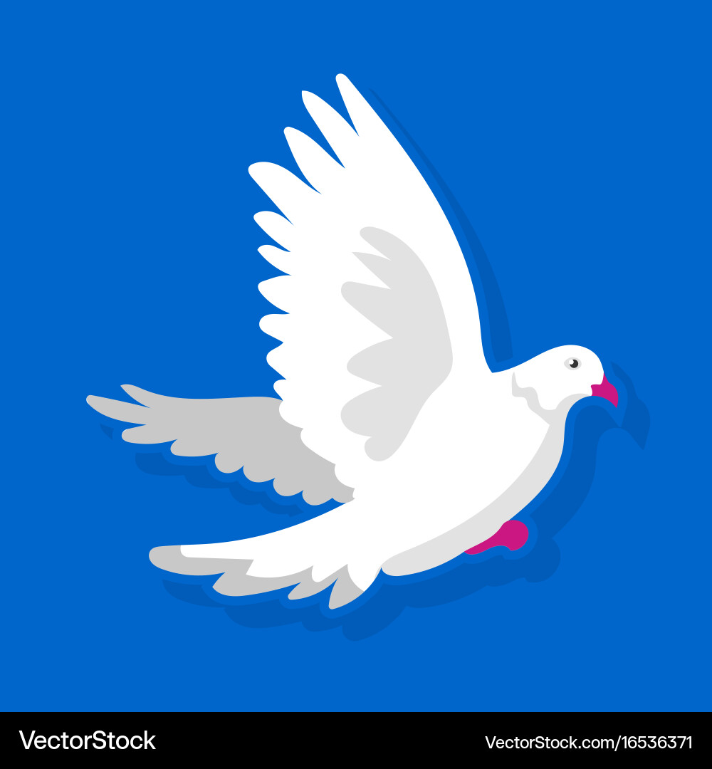 White bird flying Royalty Free Vector Image - VectorStock