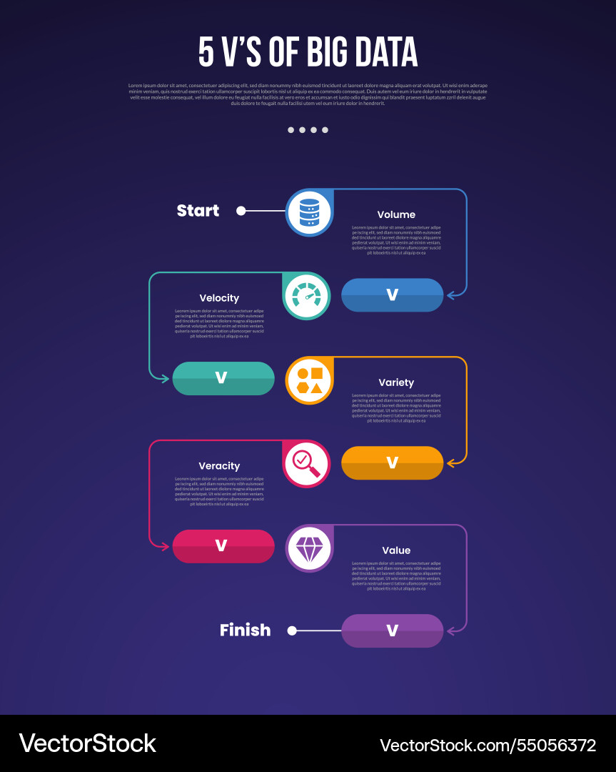 5vs big data infographic template with vertical Vector Image