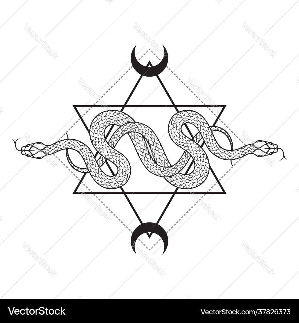 Serpent & Star Line Art Royalty Free Vector Image