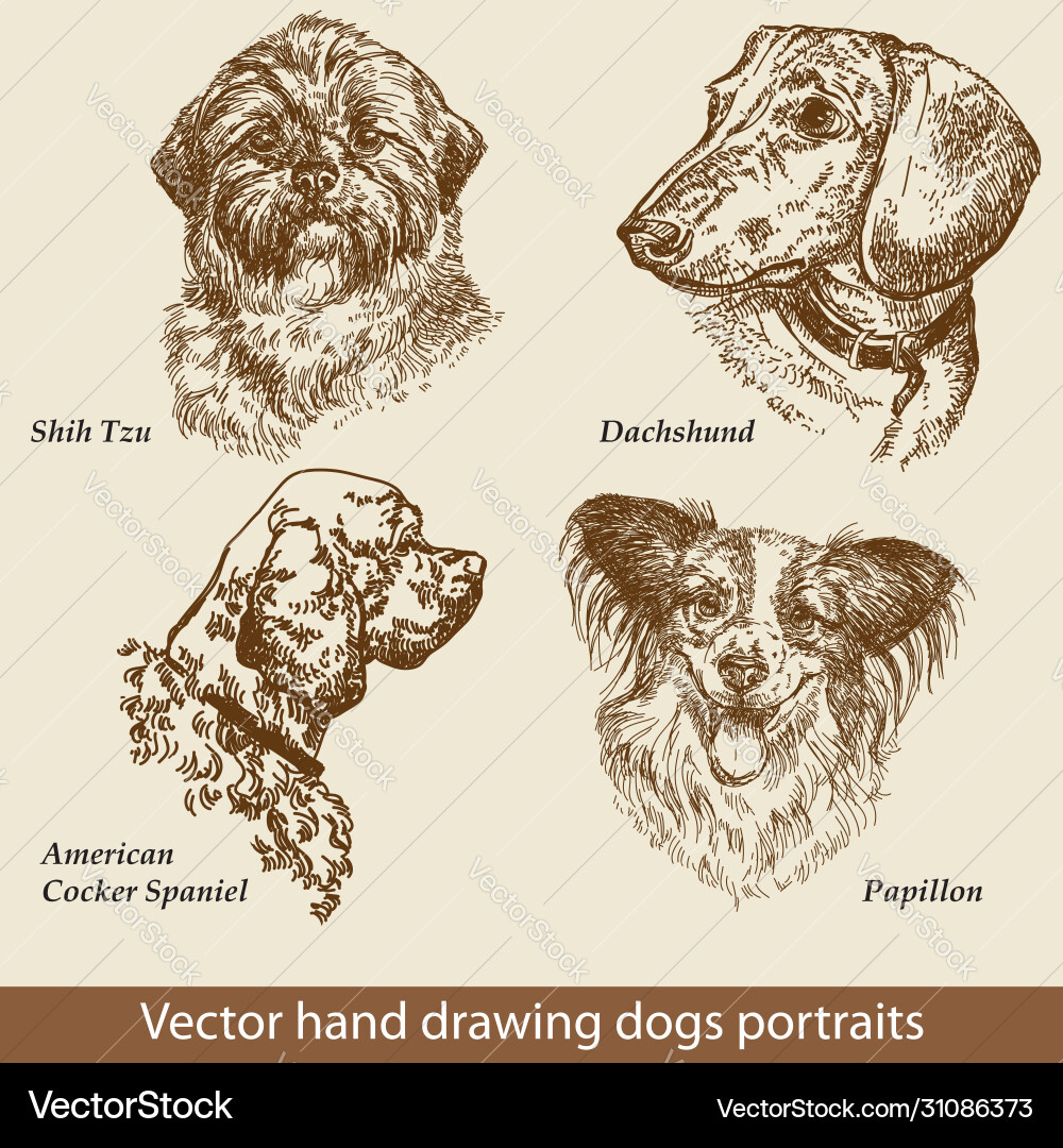 Set hand drawing dogs Royalty Free Vector Image