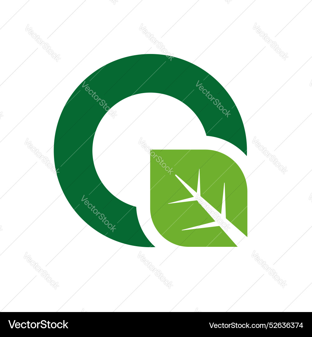 Letter o and green leaf logo symbol Royalty Free Vector