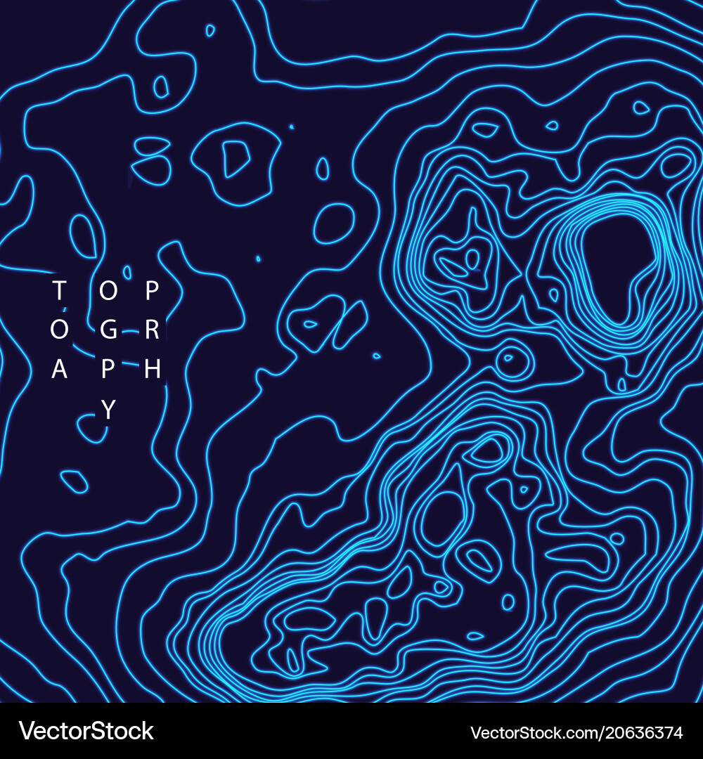 Topography map Royalty Free Vector Image - VectorStock