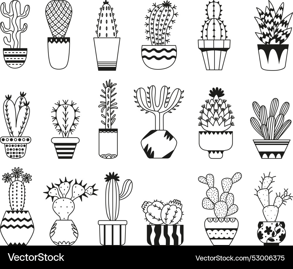 Hand drawn cacti doodle cactus in different Vector Image