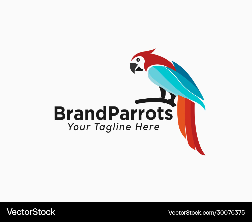 Parrot Logo Inspiration - Tropical Birds Vector Image