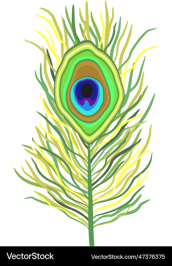 Peacock feather pattern set Royalty Free Vector Image