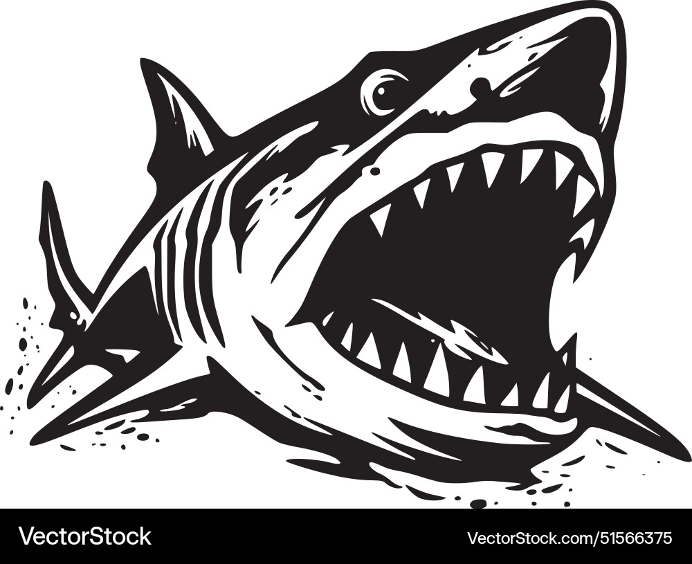 Shark - black and white Royalty Free Vector Image