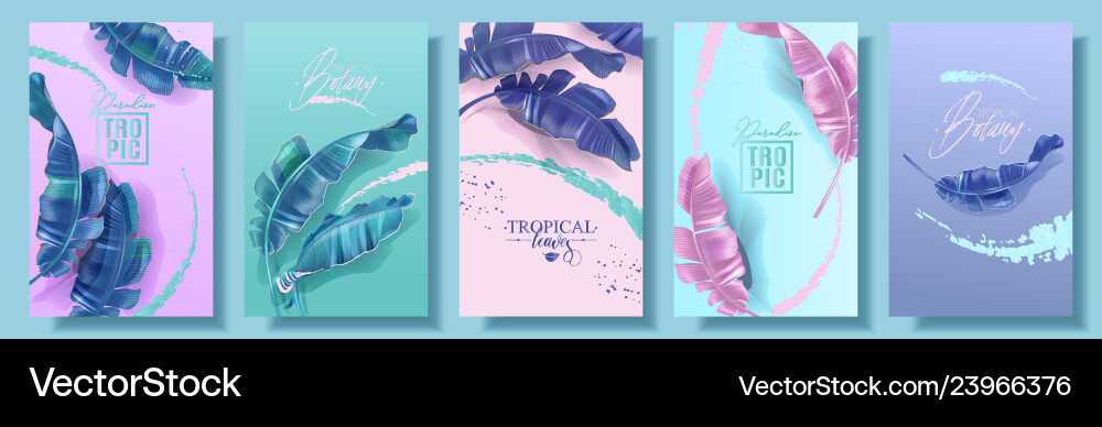 Banners set of banana tropic leaf Royalty Free Vector Image