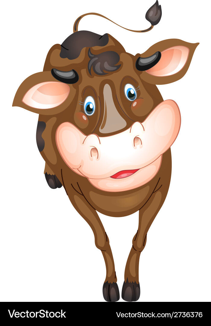 Brown Cow Cartoon Funny Brown Cow Cartoon Royalty Free Vector Image
