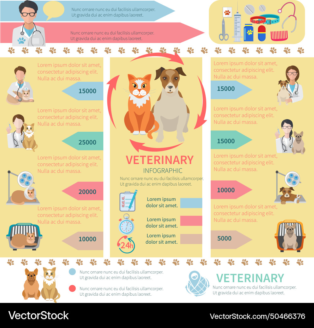 Veterinary infographics Royalty Free Vector Image