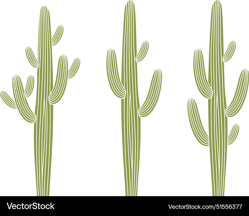 Cactus Royalty Free Vector Image - VectorStock
