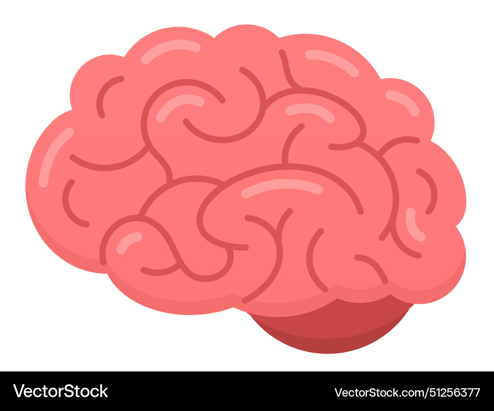 Pink brain flat design isolated Royalty Free Vector Image