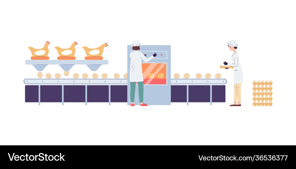 Poultry factory conveyor for eggs production flat Vector Image