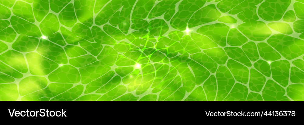 Green plant cell pattern under a microscope Vector Image