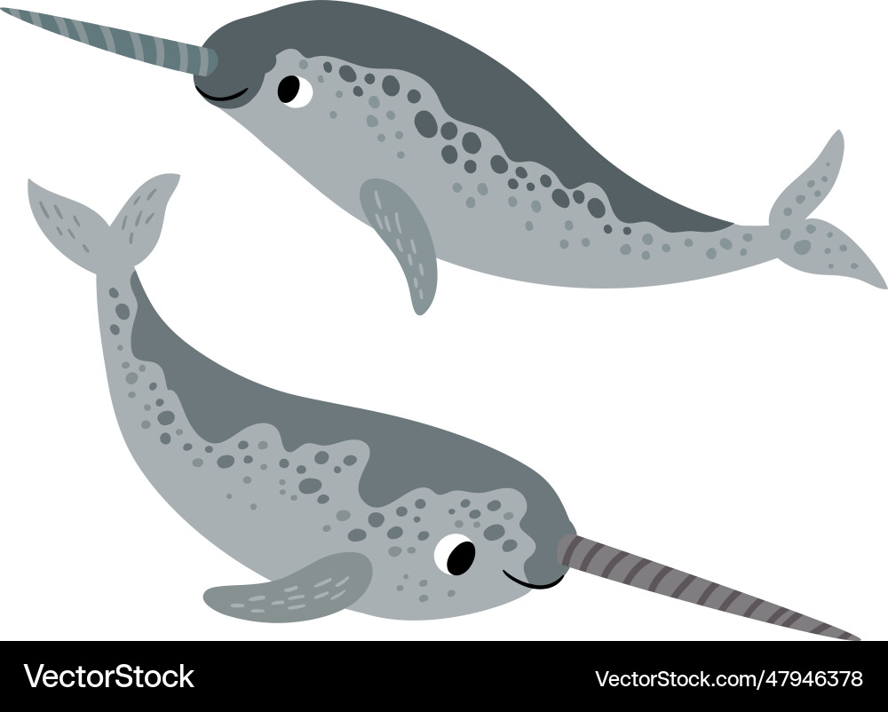 Narwhals two characters Royalty Free Vector Image