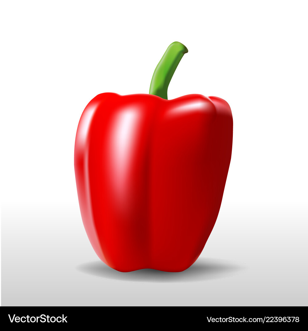 One red pepper Royalty Free Vector Image - VectorStock