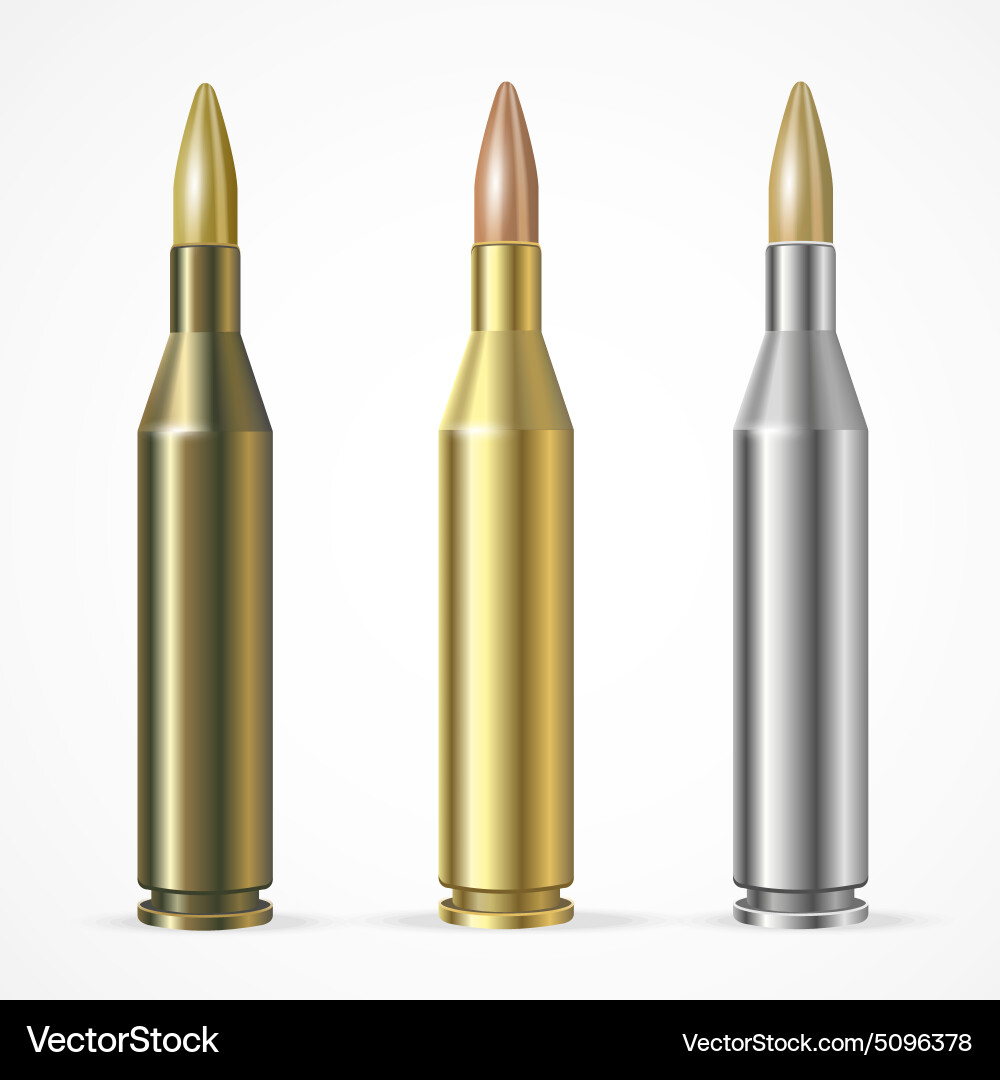 Rifle bullet set Royalty Free Vector Image - VectorStock