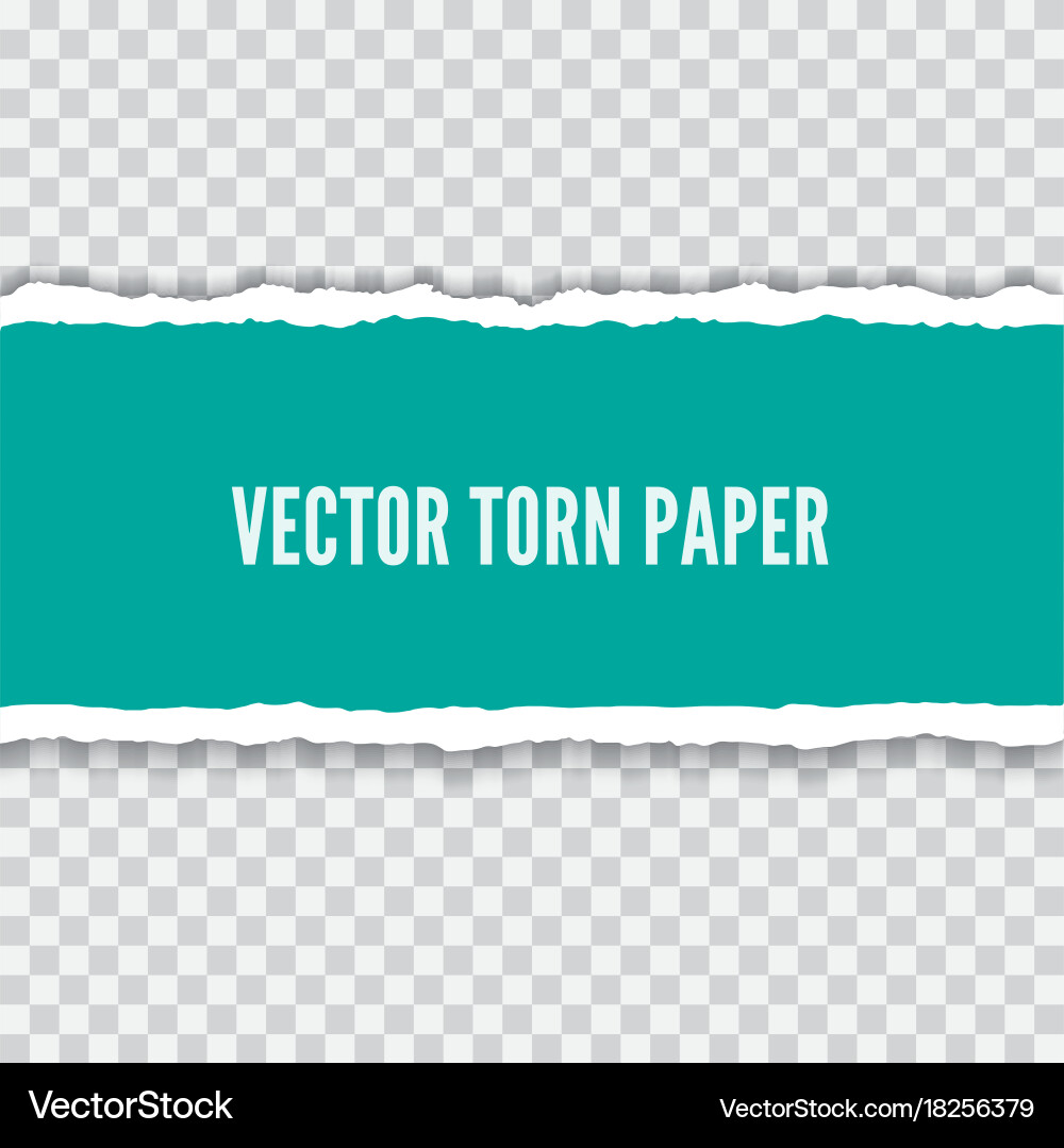 Torn Paper Scrap Royalty Free Vector Image - VectorStock