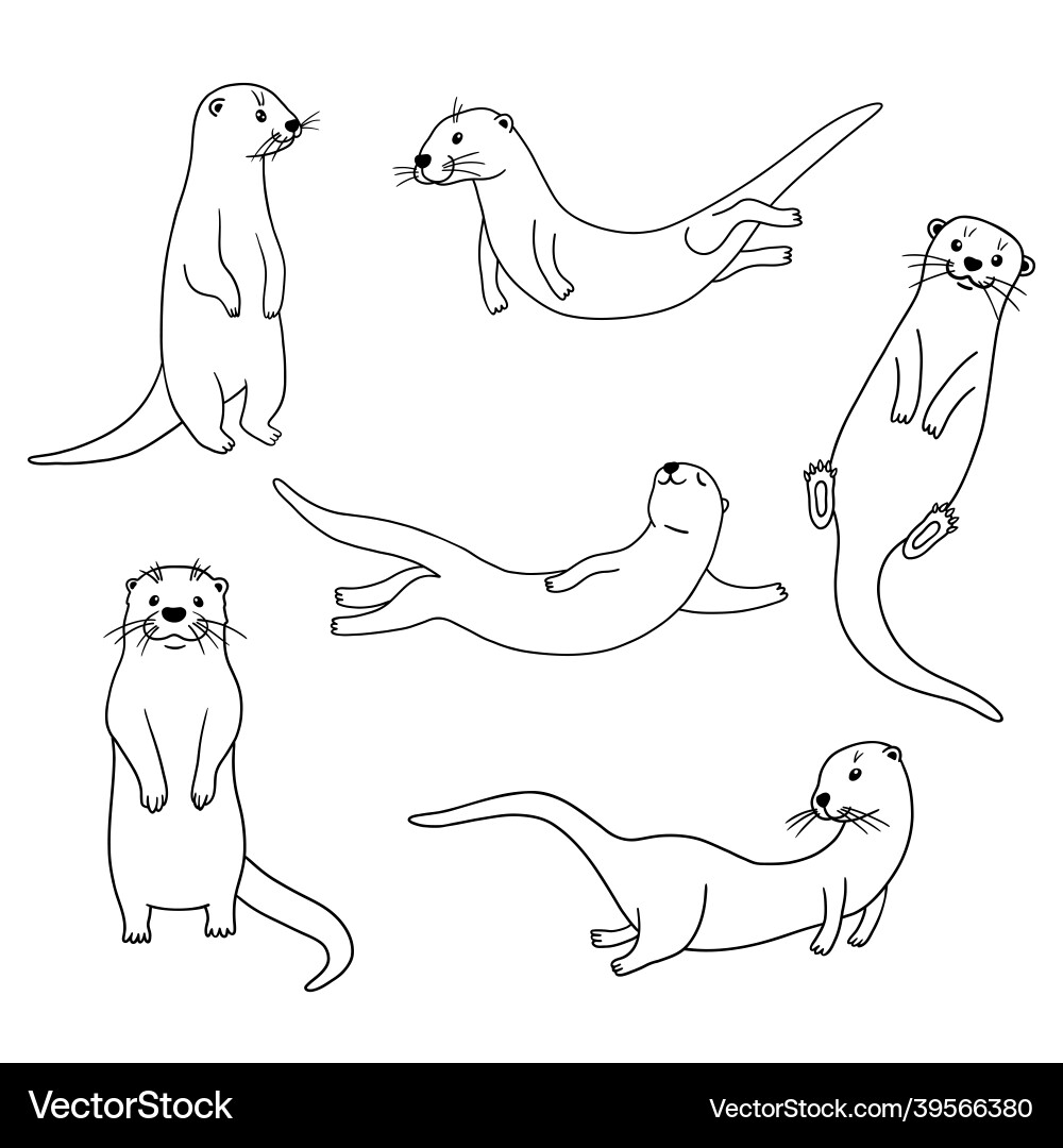 Cute otters in different actions outline Vector Image