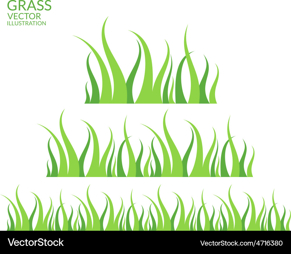 Grass set Royalty Free Vector Image - VectorStock