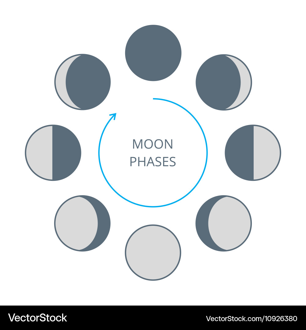 Lunar Phase Cycle Icons Royalty Free Vector Image