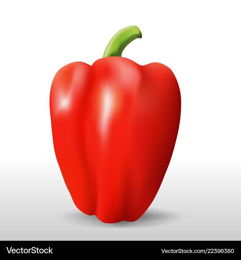 One red pepper Royalty Free Vector Image - VectorStock
