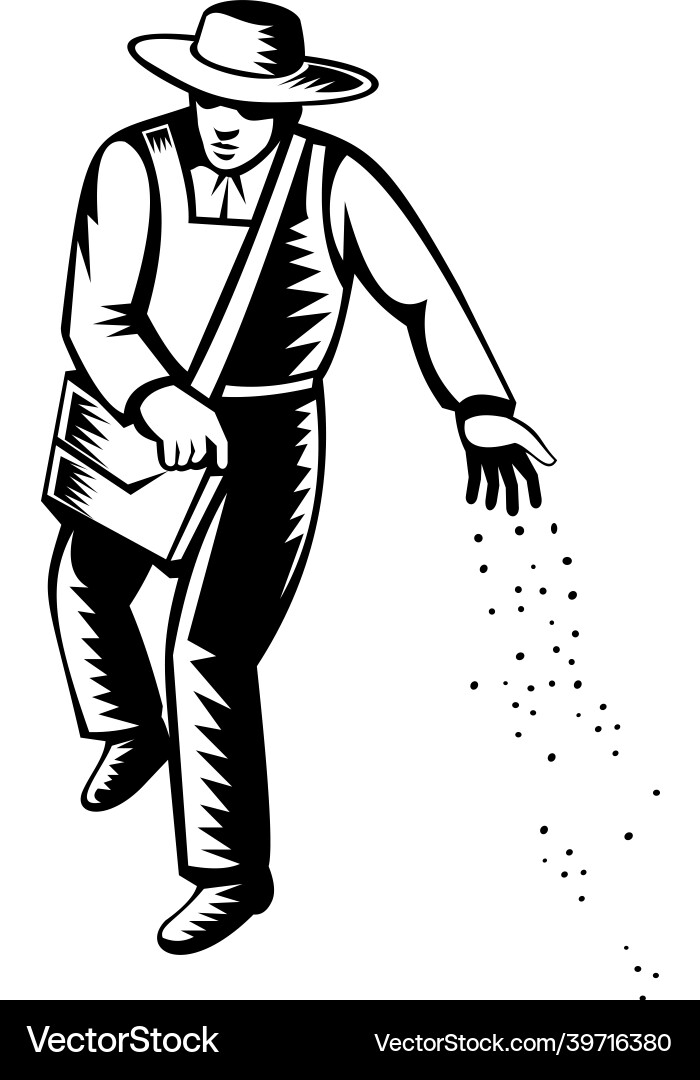 Organic farmer sowing seeds viewed from front Vector Image