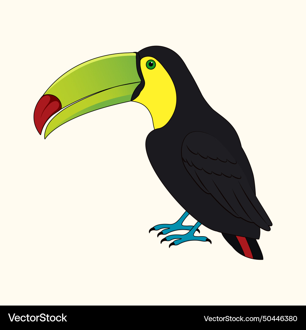 Toucan bird cartoon character on a white Vector Image