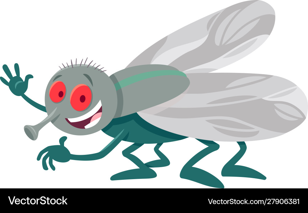 Funny fly insect comic animal character Royalty Free Vector