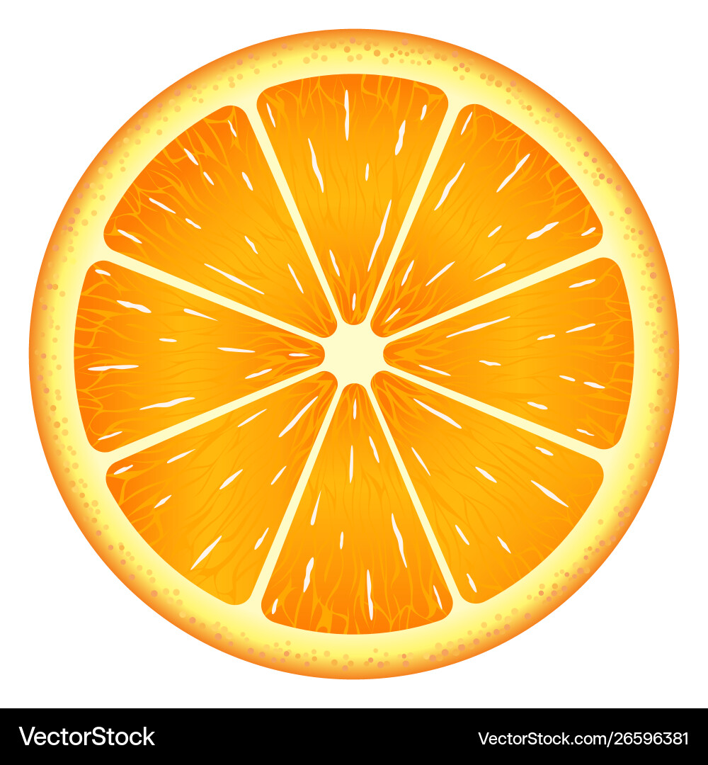 Orange slice clipping path isolated on white Vector Image