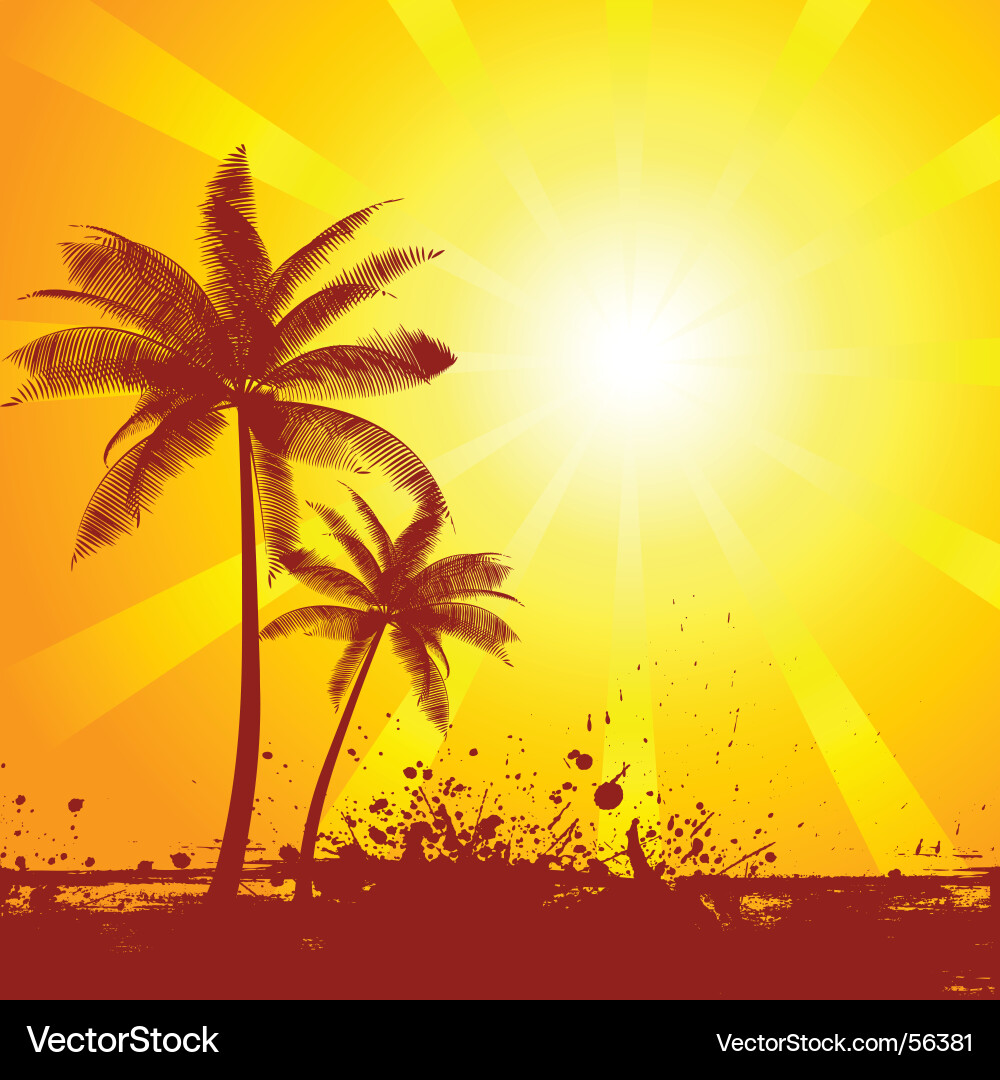 Tropical Sunset Silhouette Royalty Free Vector Image