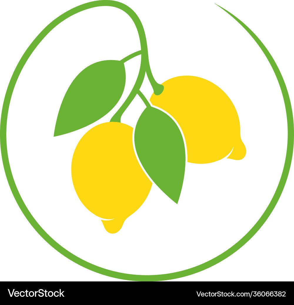 Lemon Royalty Free Vector Image - VectorStock