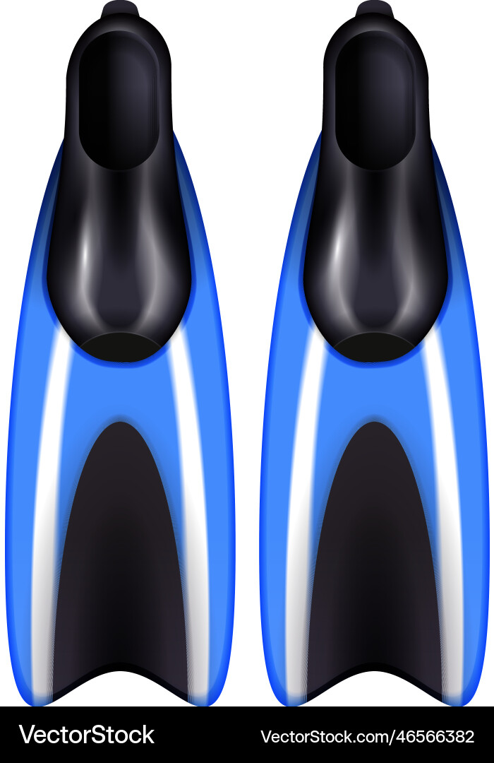 Realistic flippers Royalty Free Vector Image - VectorStock