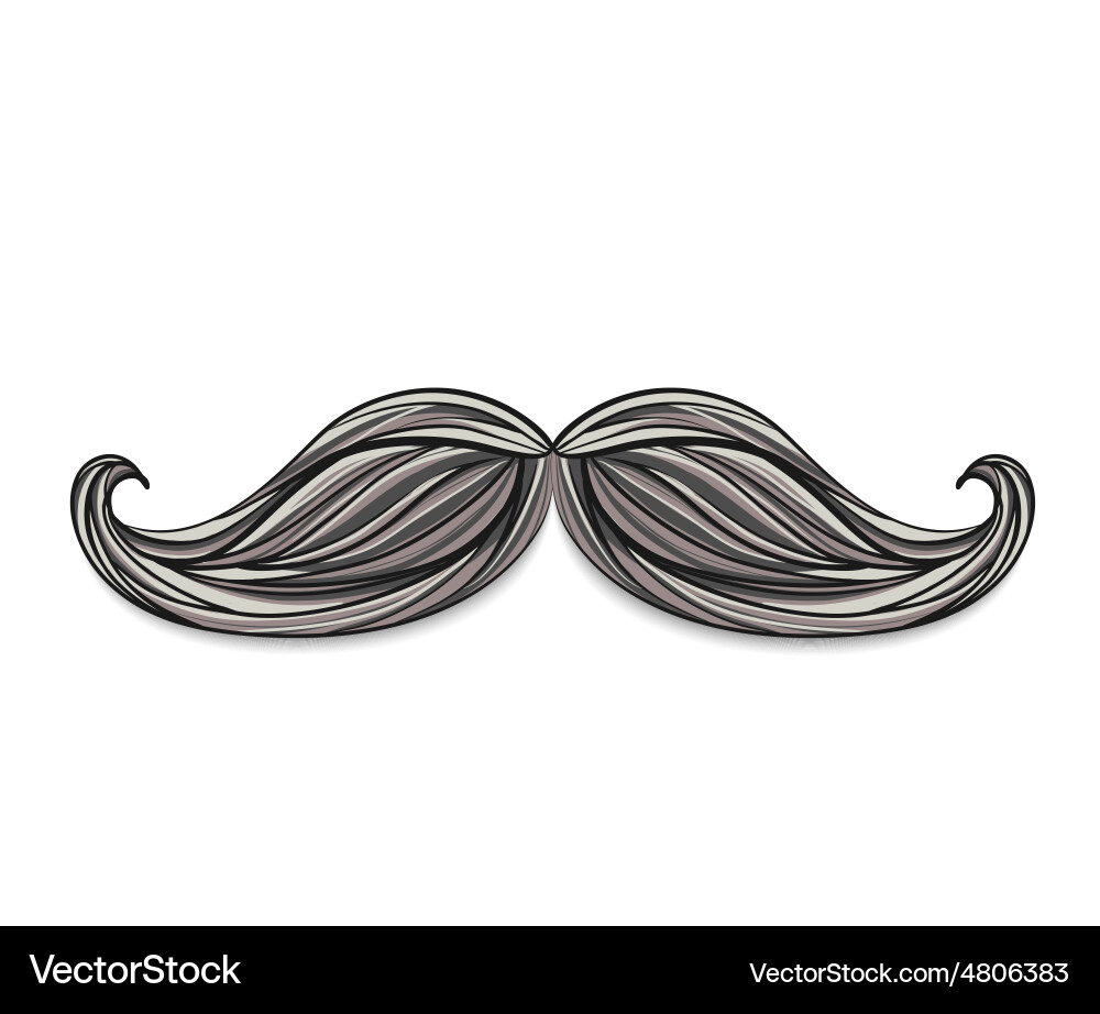 Hand drawn mustache Royalty Free Vector Image - VectorStock