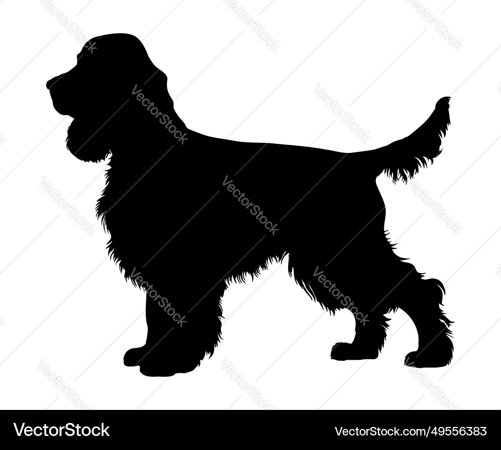 Standing cocker spaniel dog silhouette Royalty Free Vector