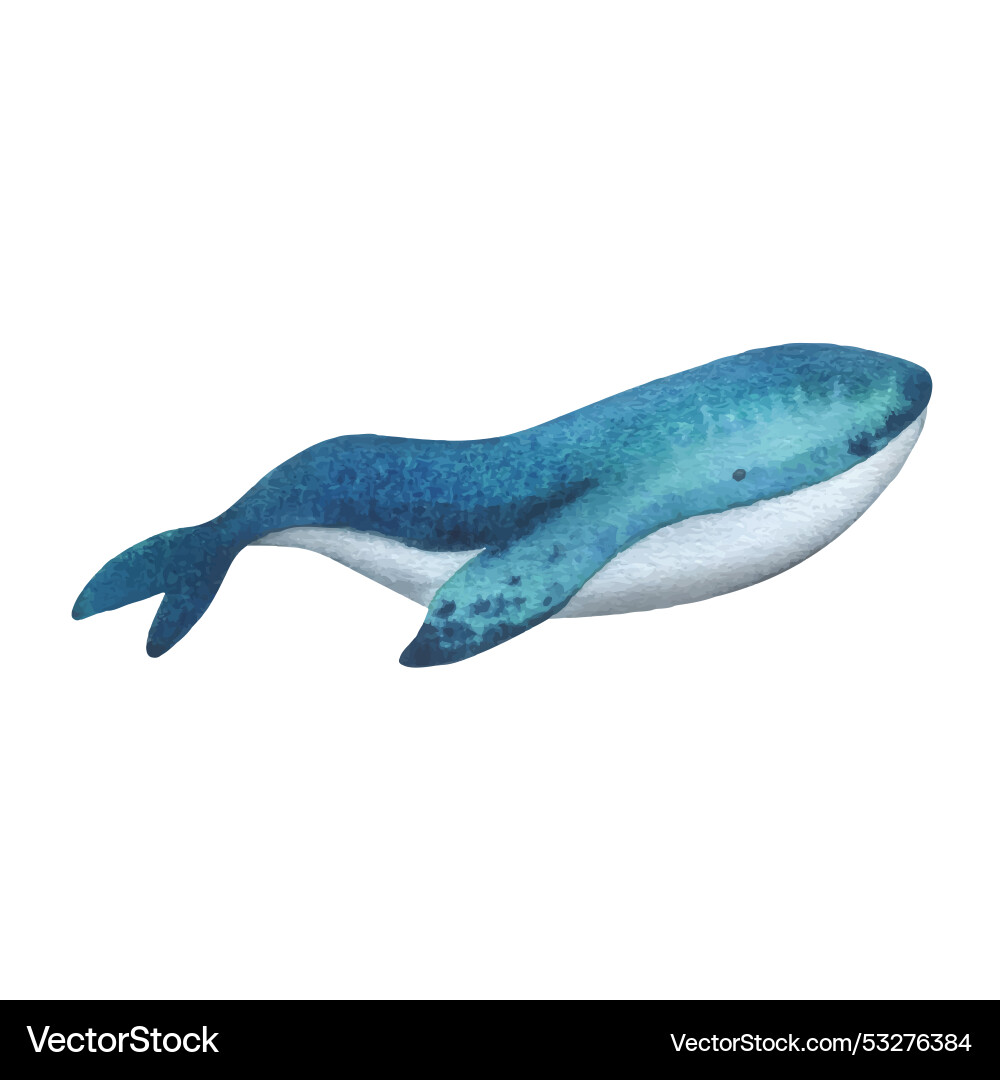 Blue turquoise whale with texture watercolor Vector Image