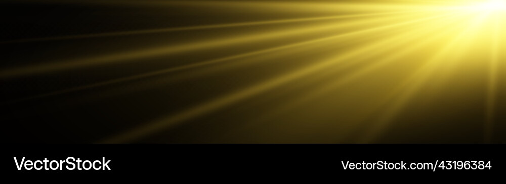 Gold sun rays light star flare glare sparkles Vector Image