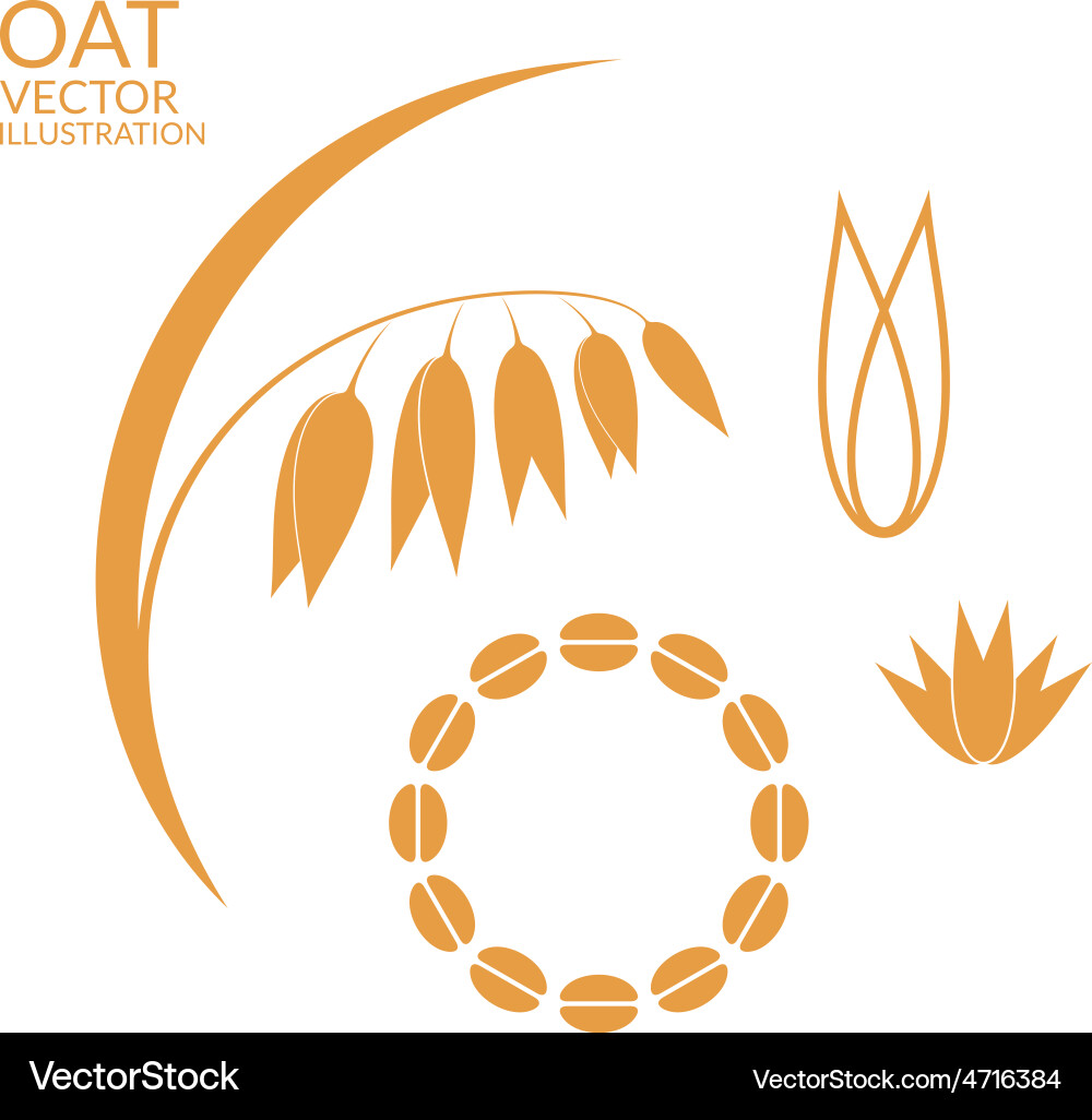 Oat Grain Collection - Minimalist Set Royalty Free Vector