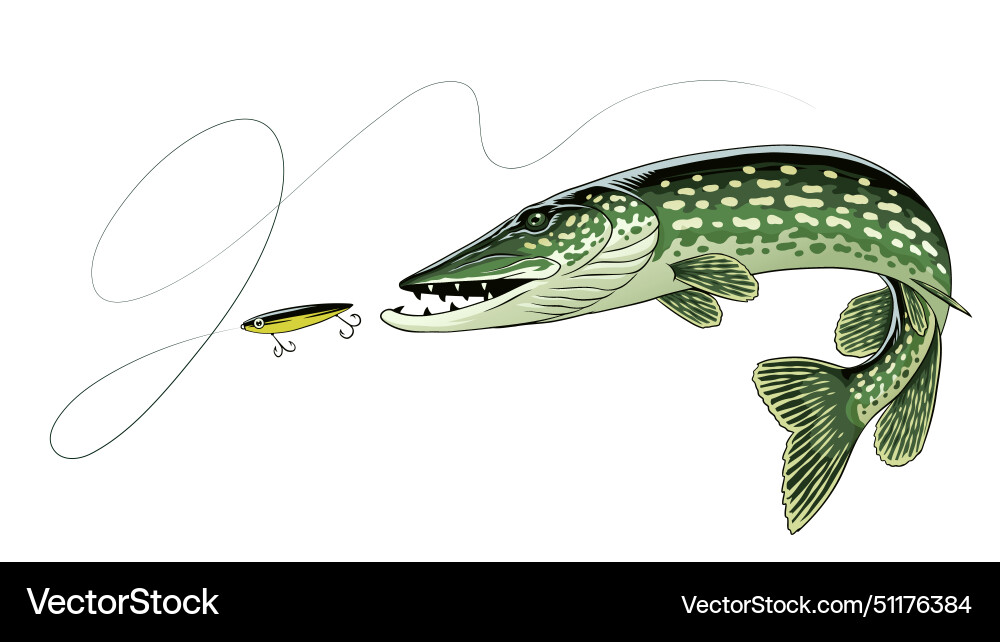 Vintage of pike fish isolated Royalty Free Vector Image