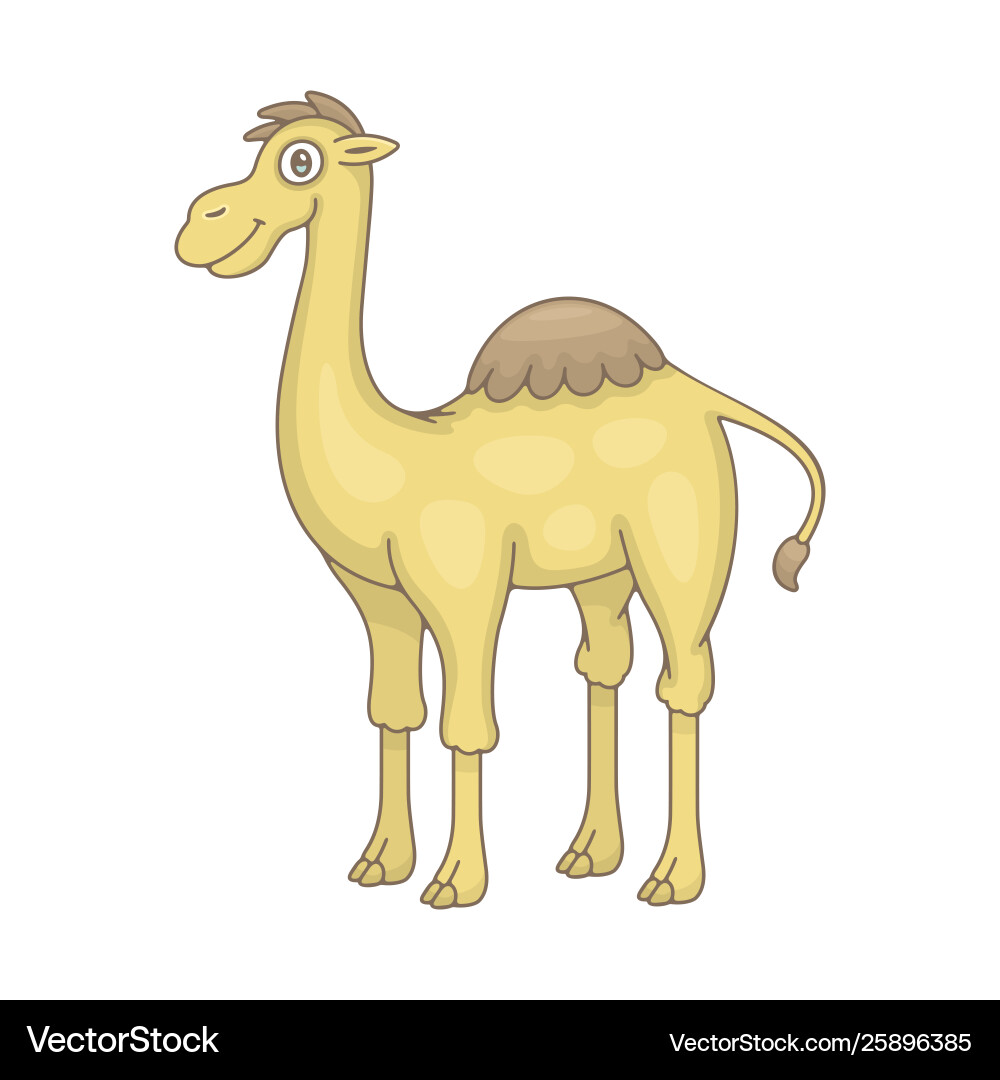 Camel Royalty Free Vector Image - VectorStock