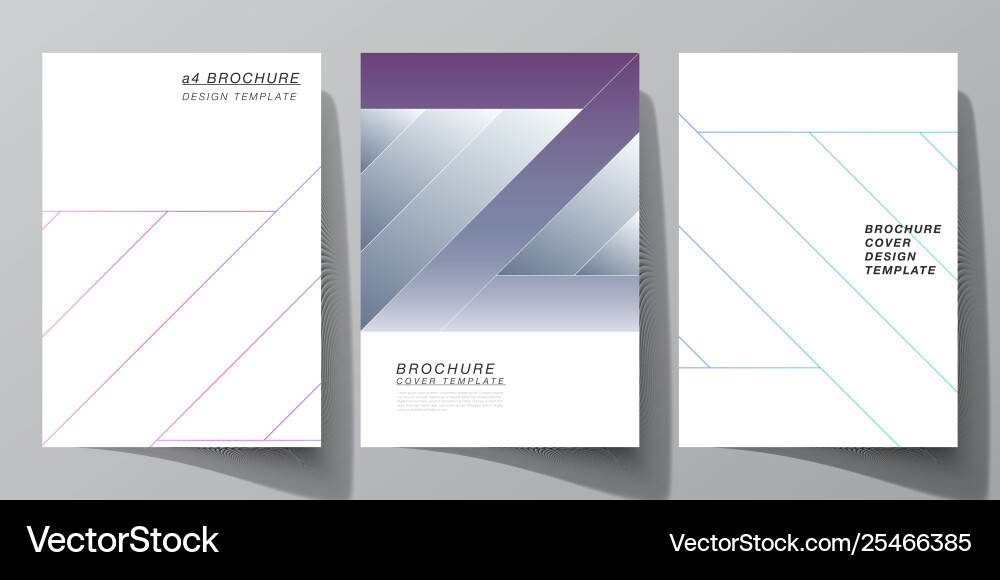 Editable layout a4 Royalty Free Vector Image - VectorStock