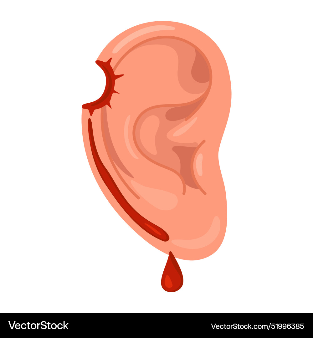 Wounded ear injured human with blood drops Vector Image