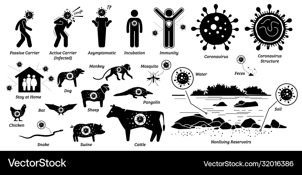 Viral Infection Disease Spread Royalty Free Vector Image