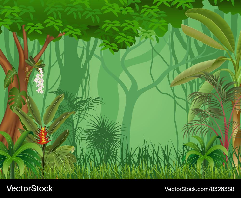 Forest background Royalty Free Vector Image - VectorStock