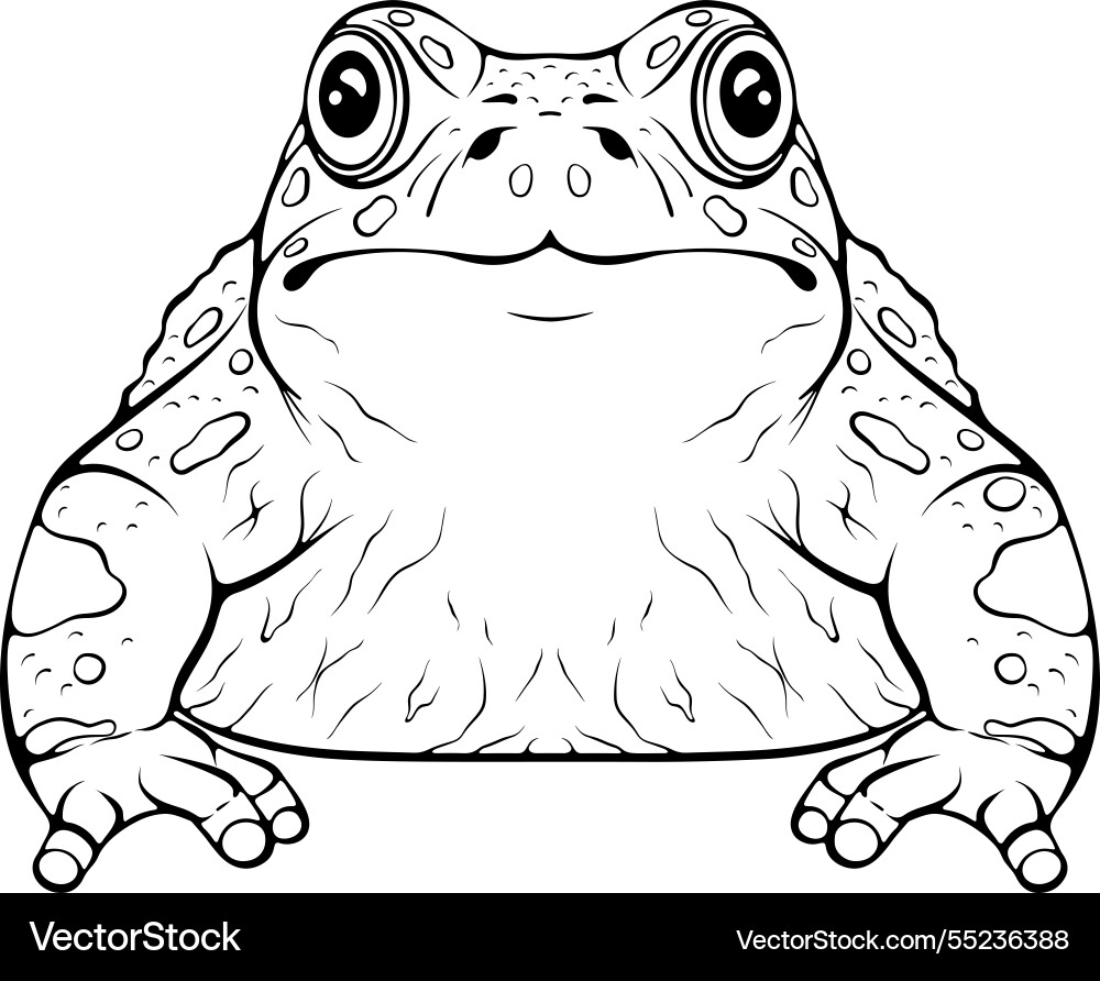 Frog front view line art Royalty Free Vector Image