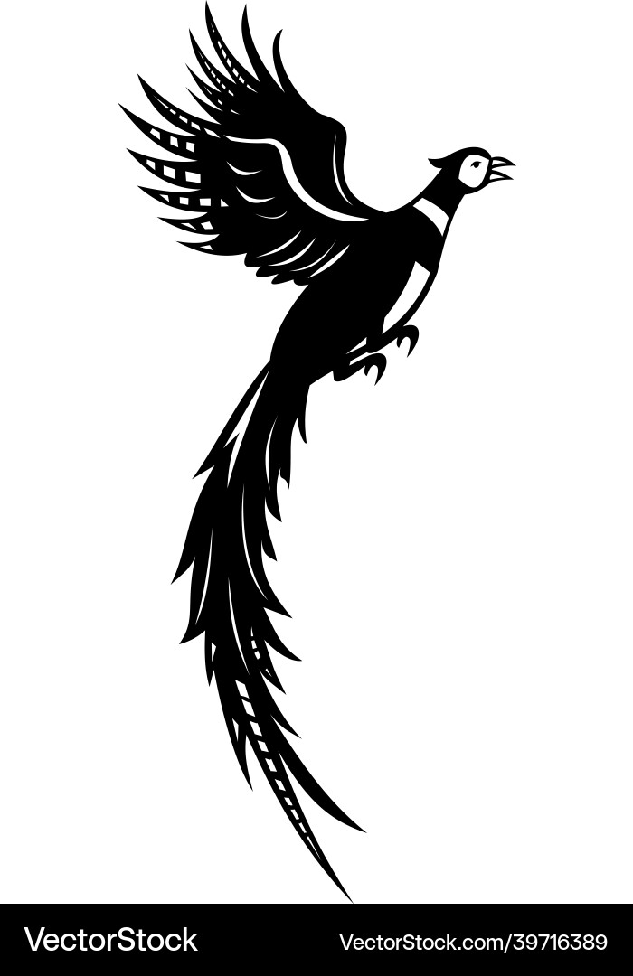 Flying Pheasant Silhouette Royalty Free Vector Image