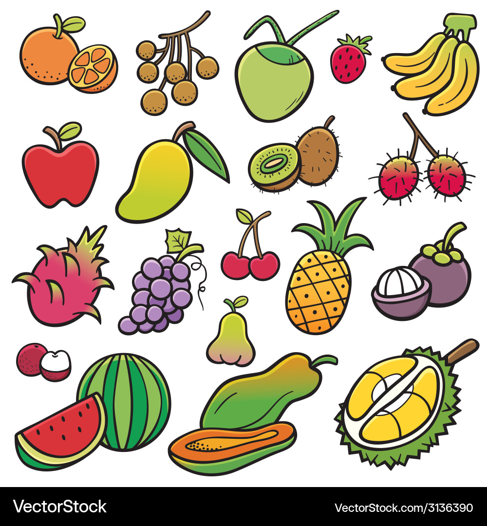 Fruit Royalty Free Vector Image - VectorStock